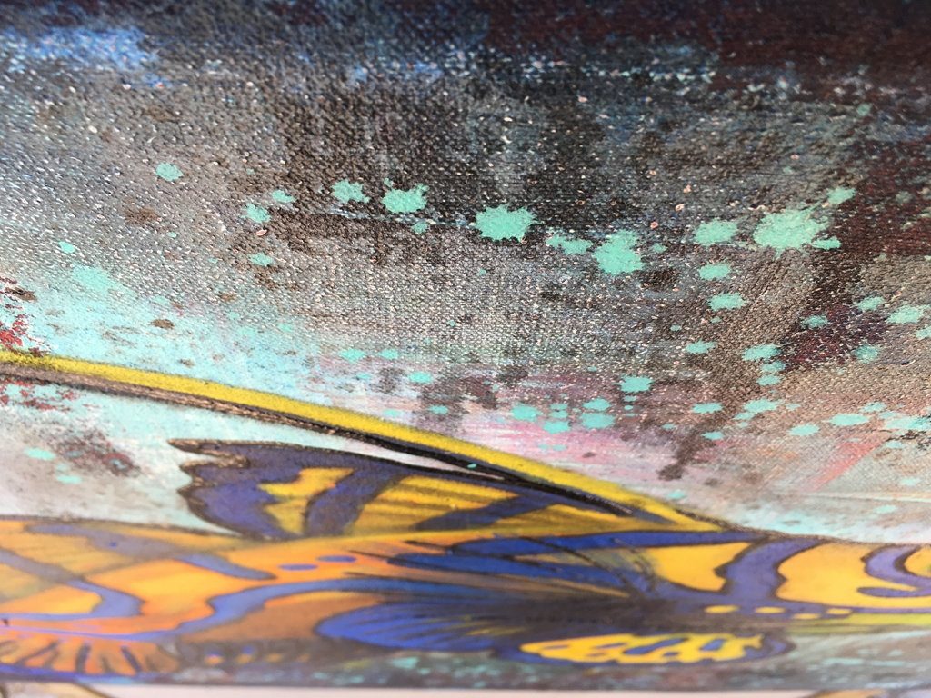 Mandarin Goby Fish Wall Art By Artist Rafi Perez Mixed Medium On Canvas ...